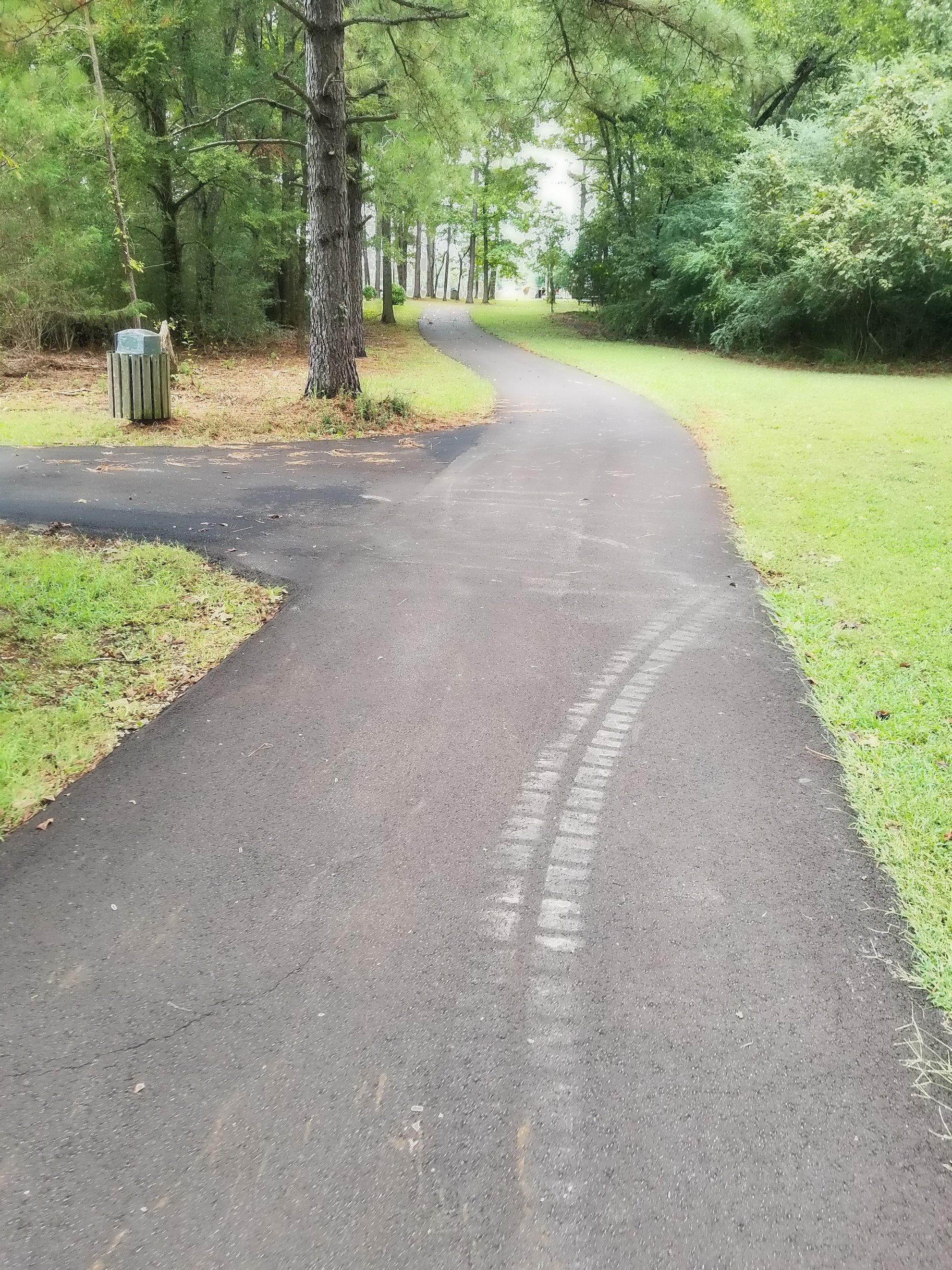 WHICH PATH WILL YOU TAKE TODAY… – BE BLESSTIFIED!